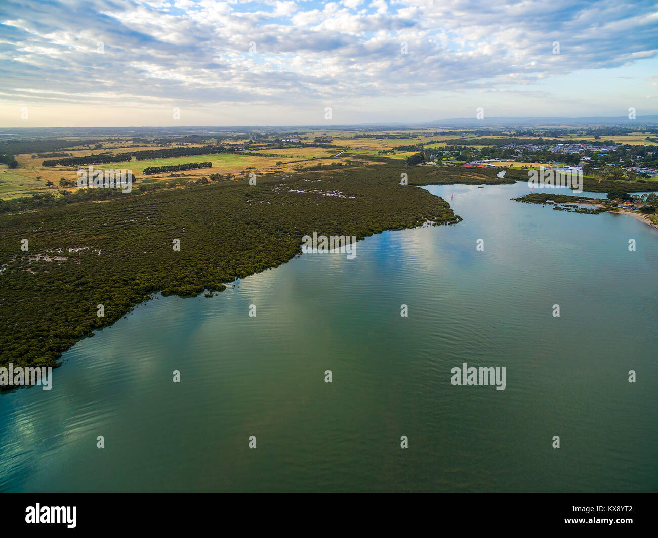 Aerial view of mangroves and meadows near ocean coastline at sunset in ...
