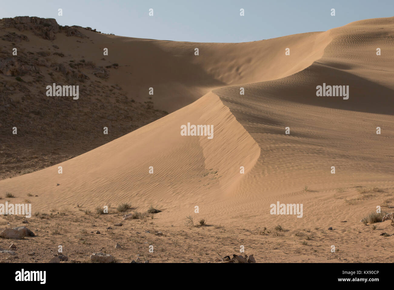 Wind blowing on a sand dune Stock Photo - Alamy