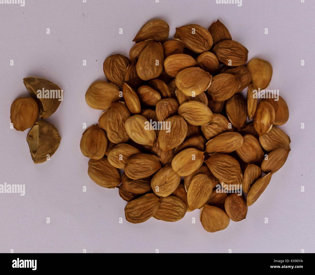 Pile of apricot seeds isolated on white background Stock Photo - Alamy