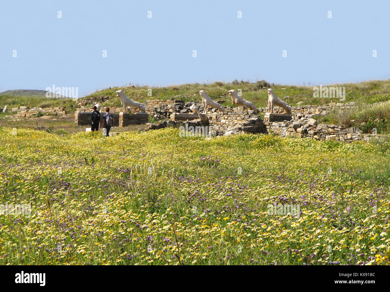 People Walking among Wild Flower Fields at the Terrace of the Lions ...