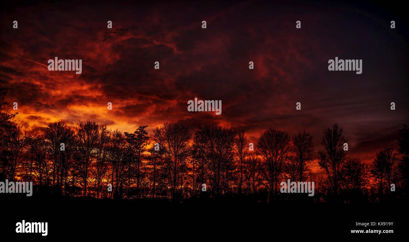 Fire red dawn sky forest hi-res stock photography and images - Alamy