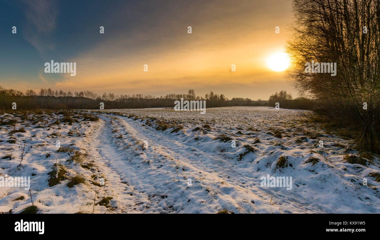 Winter meadows with snow Stock Photo - Alamy