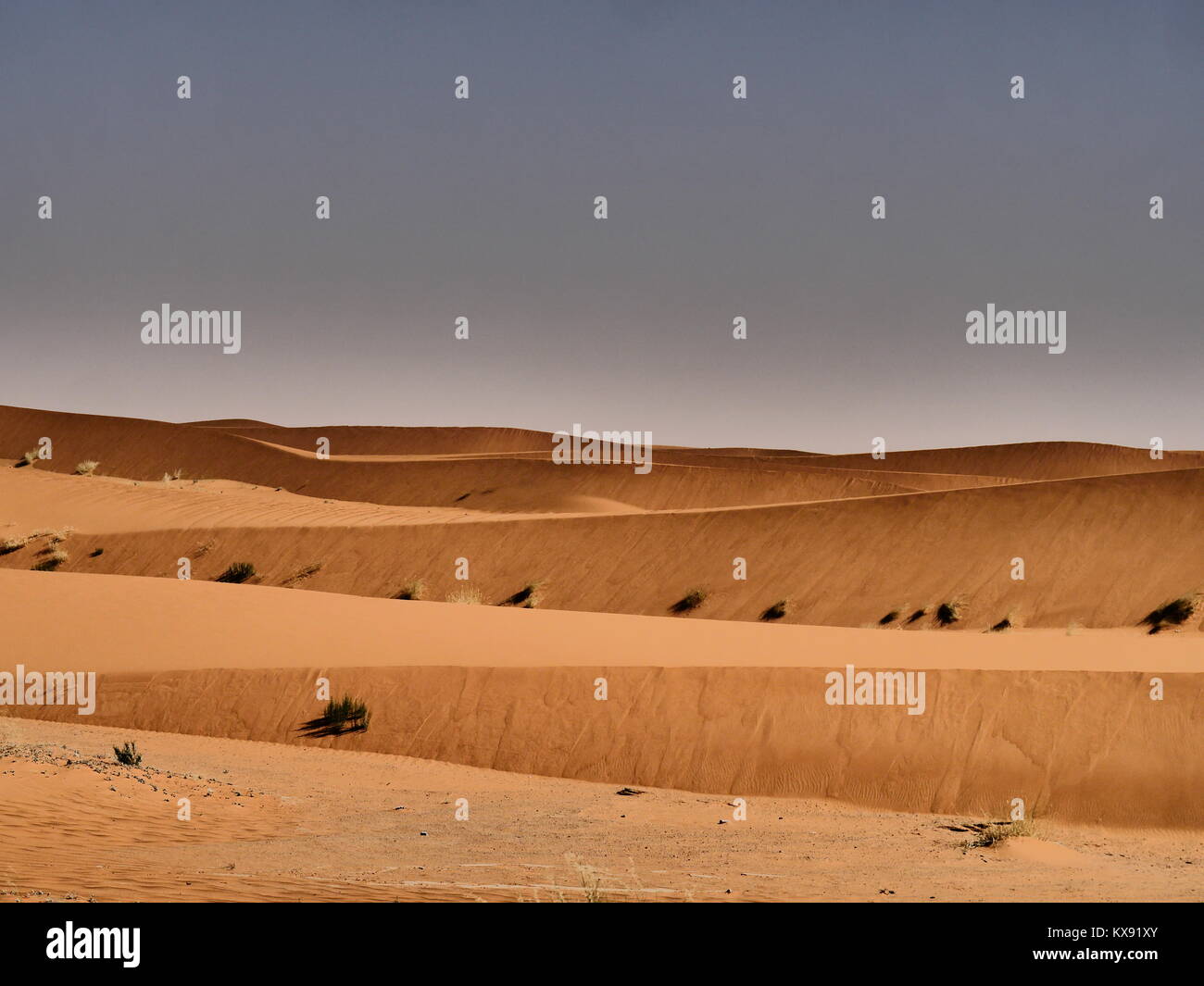 Saudi arabia desert hi-res stock photography and images - Alamy