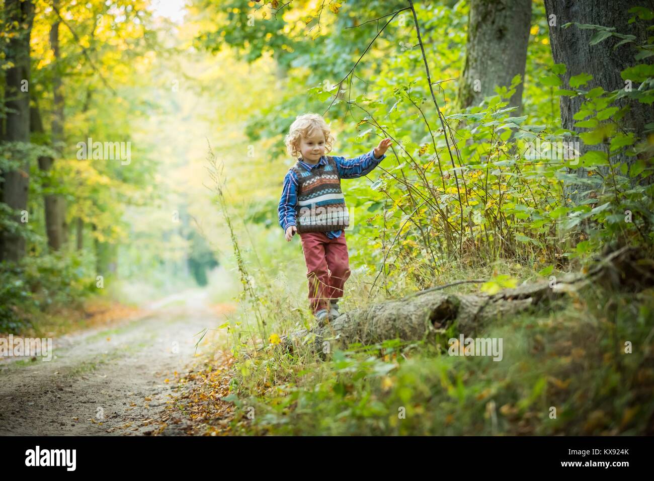 Young boy playing in autumnal forest Stock Photo - Alamy