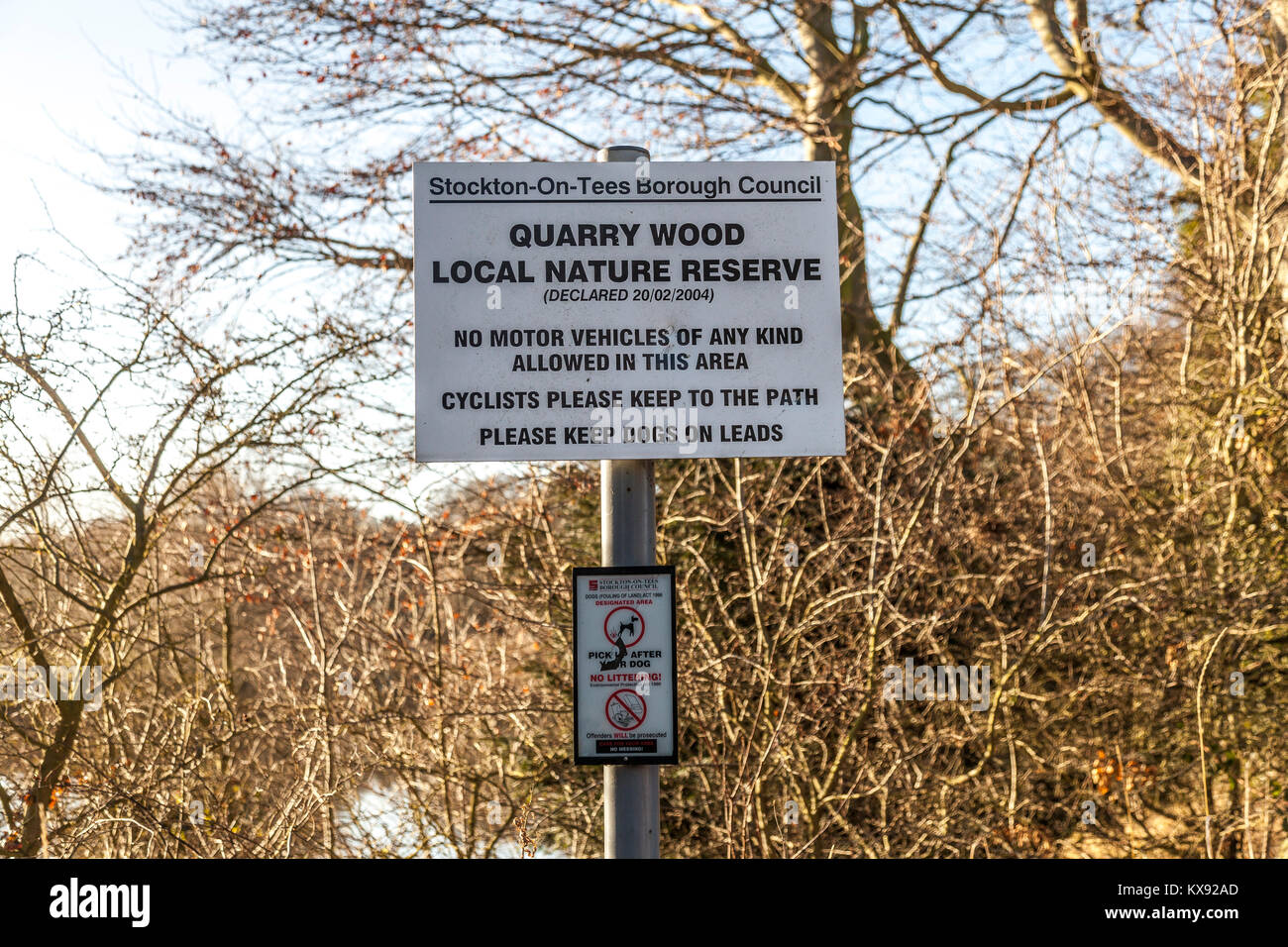 Quarry wood, england hi-res stock photography and images - Alamy