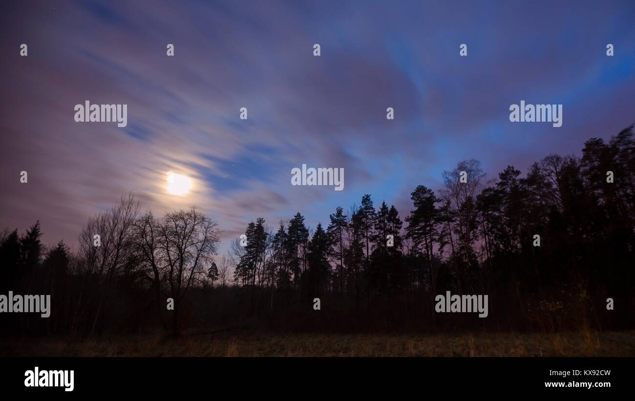 Evening sky over forest Stock Photo - Alamy