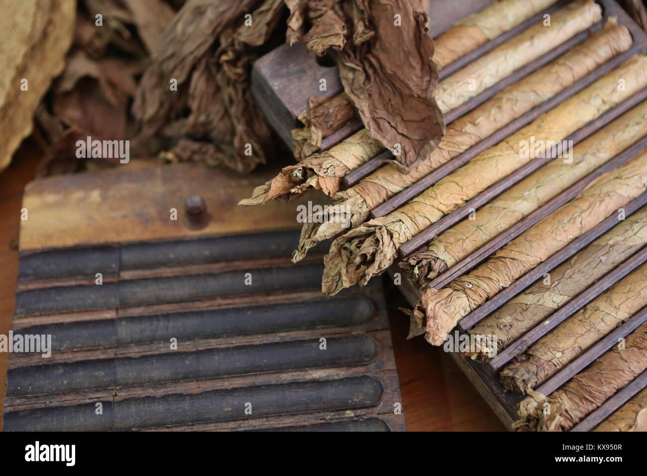 zigarren Herstellung in Cuba -Cigars manufacturing in Cuba Stock Photo ...