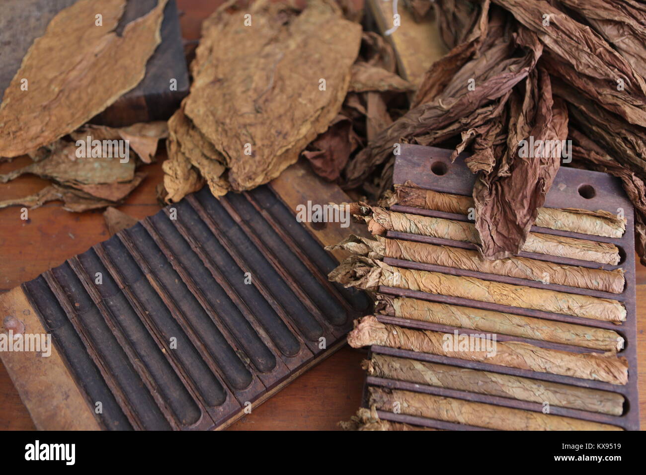 zigarren Herstellung in Cuba -Cigars manufacturing in Cuba Stock Photo ...