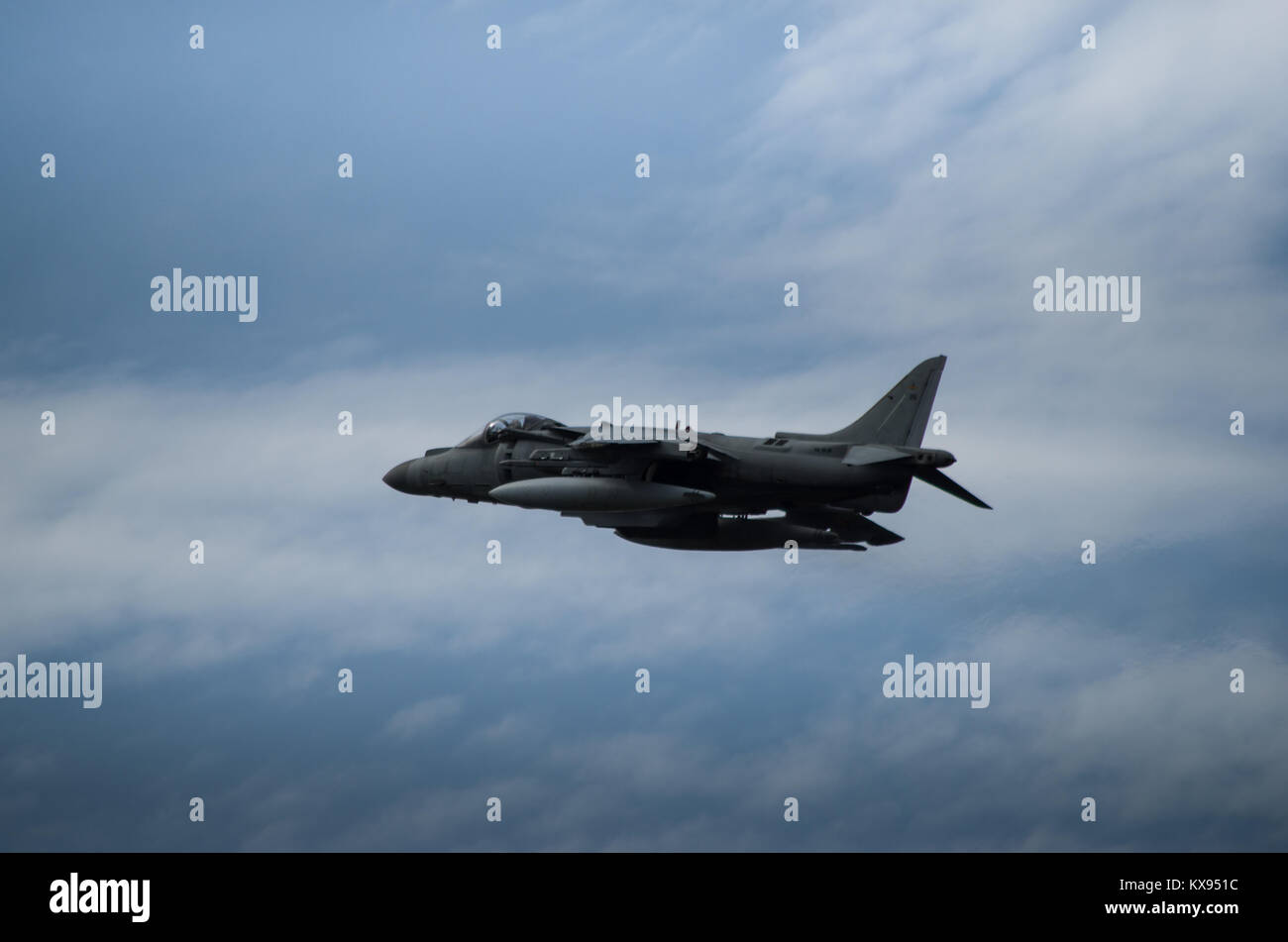 Harier Stock Photos & Harier Stock Images - Alamy