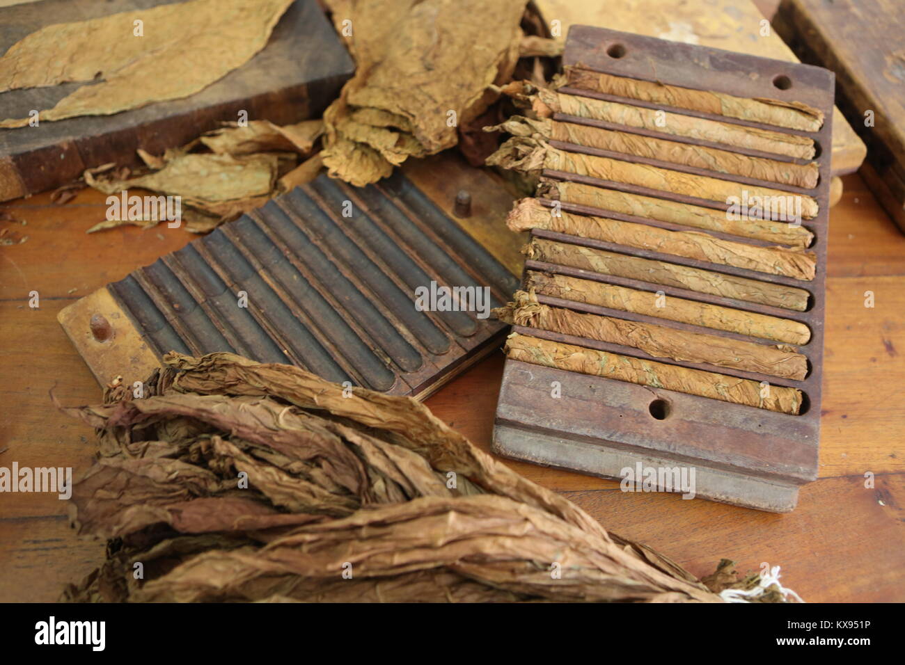 zigarren Herstellung in Cuba -Cigars manufacturing in Cuba Stock Photo ...