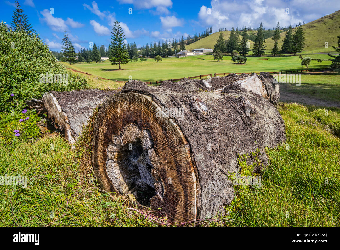 Norfolk Island, Australian external territory, Kingston, mighty log of ...