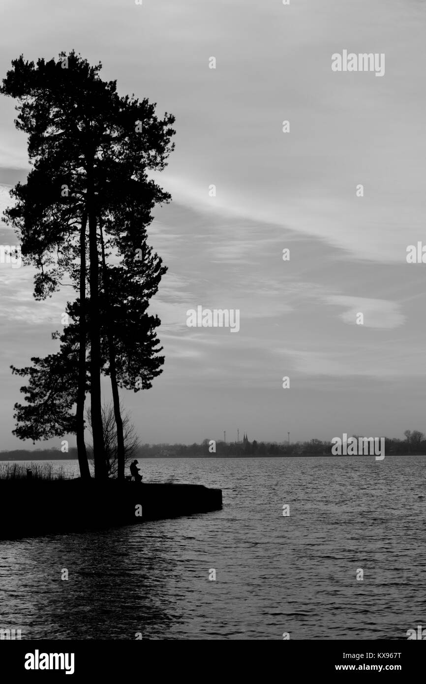 Lake and trees Stock Photo - Alamy