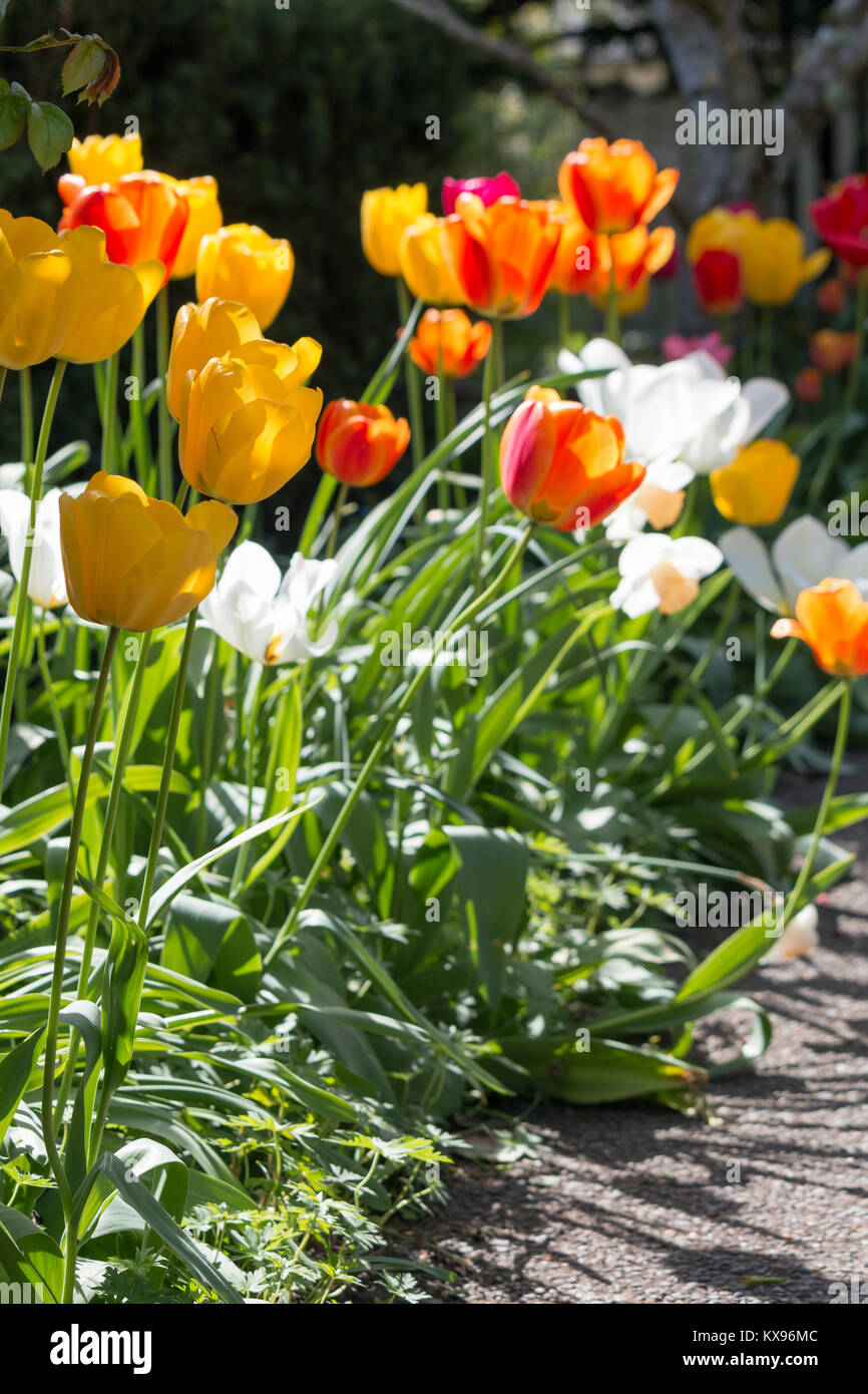 Colourful spring hi-res stock photography and images - Alamy