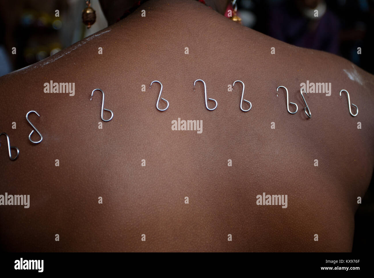 A Hindu devotee piercing hooks to body in Thaipusam Stock Photo - Alamy