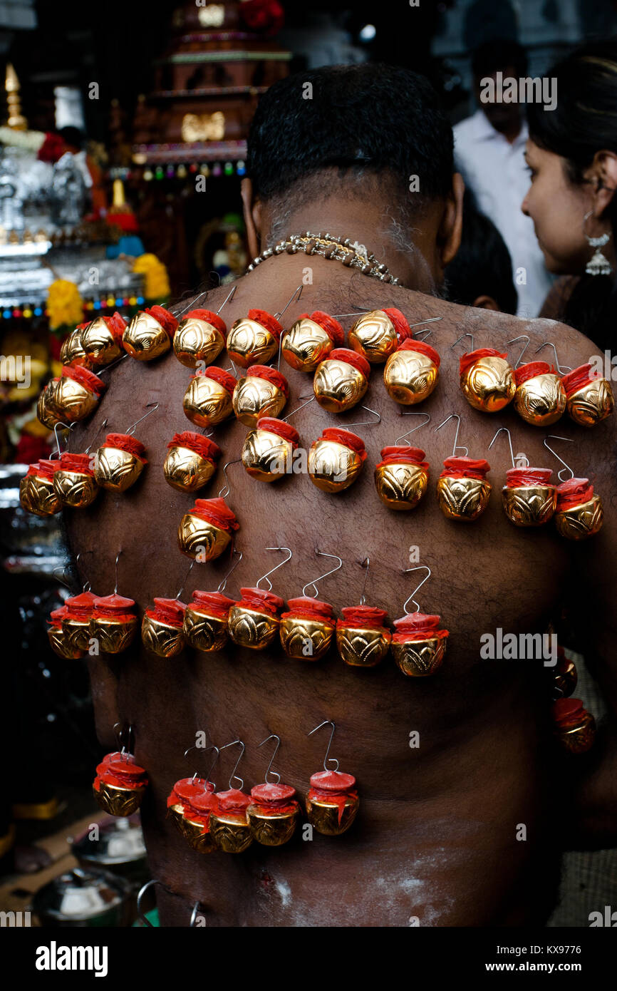 A Hindu devotee piercing hooks to body in Thaipusam Stock Photo - Alamy
