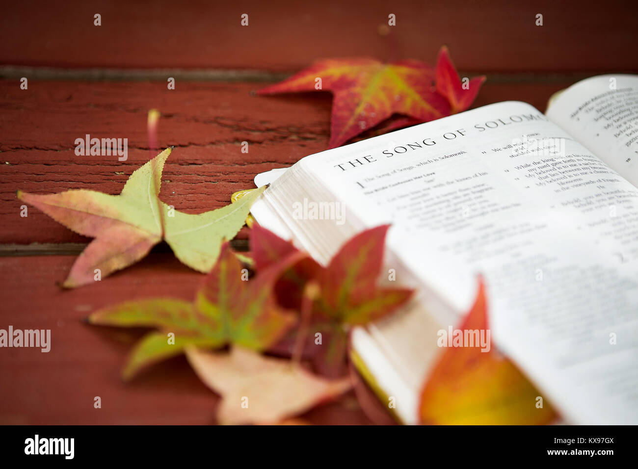 Red fall background with the Bible and leaves Stock Photo - Alamy