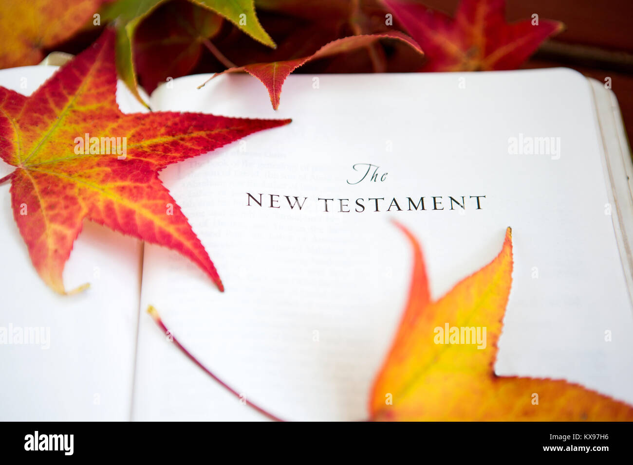 Red fall background with the Bible and leaves Stock Photo - Alamy