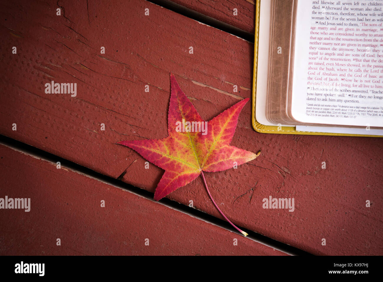 Red fall background with the Bible and leaves Stock Photo - Alamy