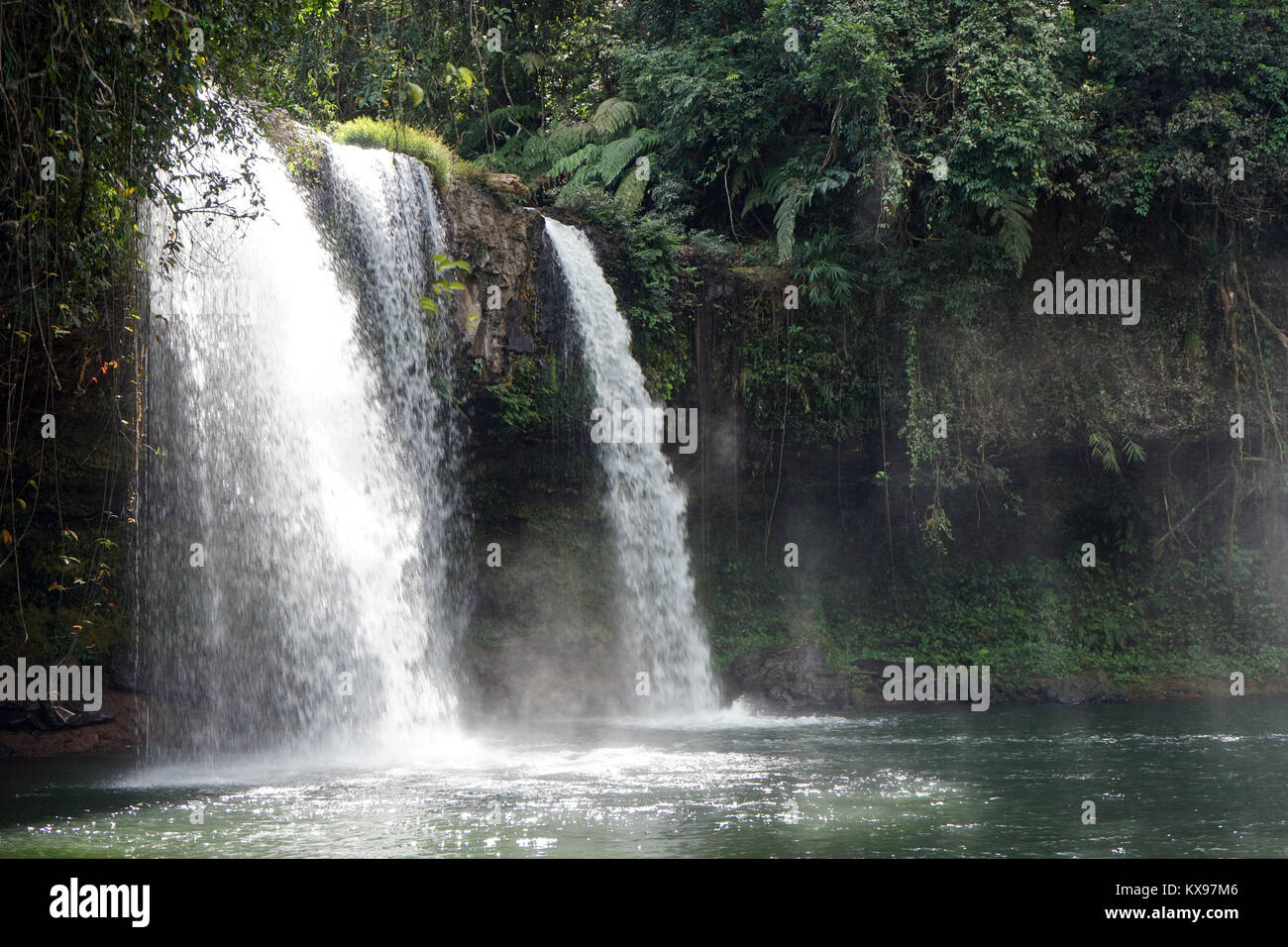 Champy waterfall in dense green jungle in Laos Stock Photo - Alamy