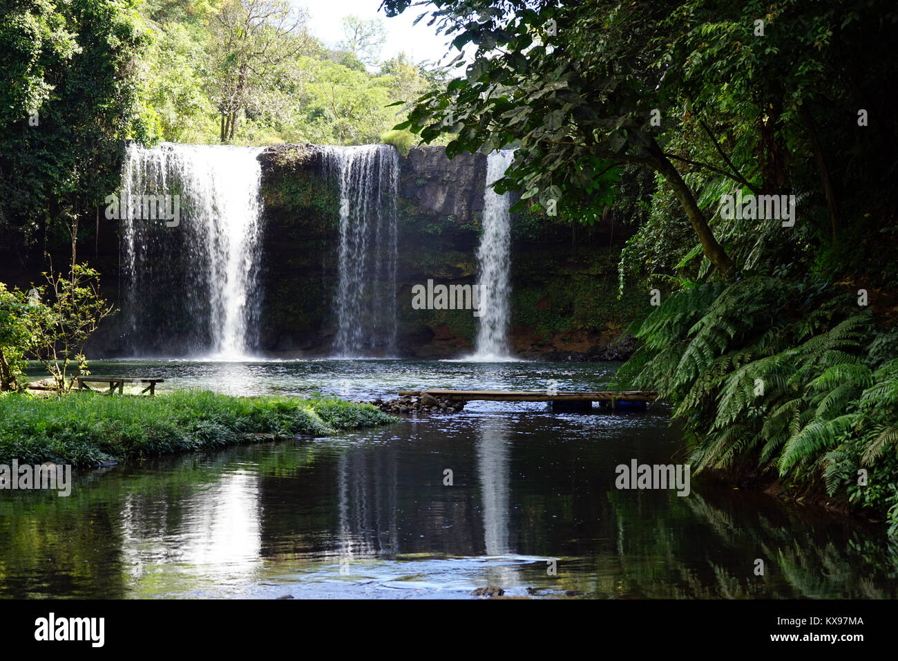 Champy waterfall in dense green jungle in Laos Stock Photo - Alamy