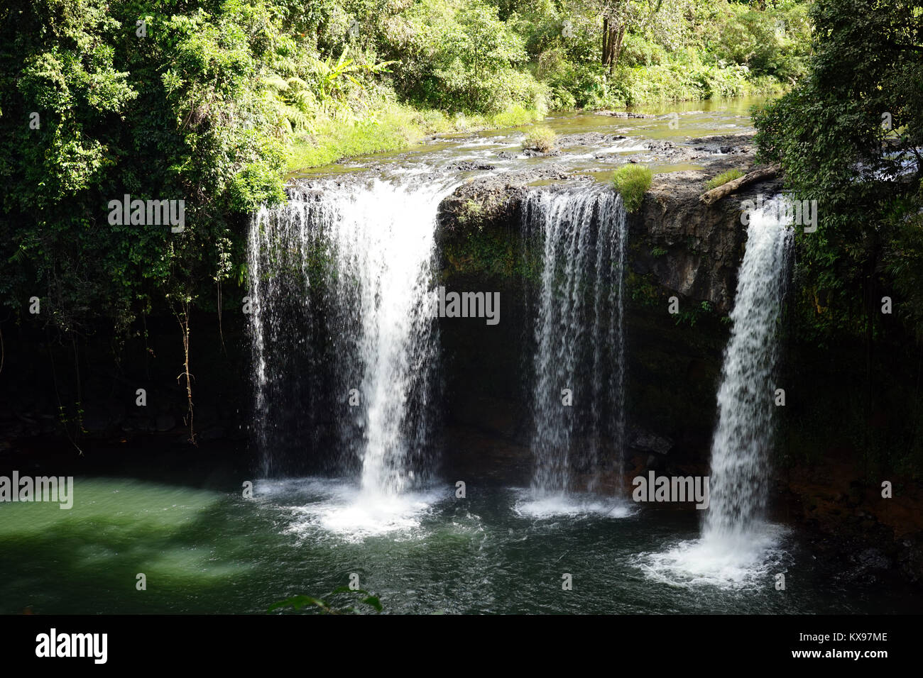 Champy waterfall in dense green jungle in Laos Stock Photo - Alamy
