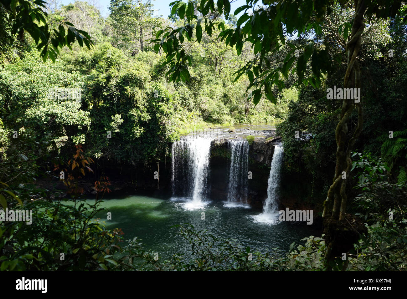 Champy waterfall in dense green jungle in Laos Stock Photo - Alamy