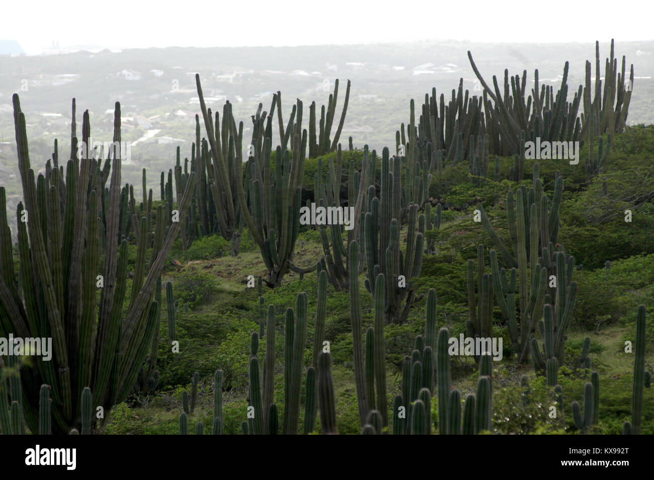 Beautiful sunny Landscape Stock Photo - Alamy