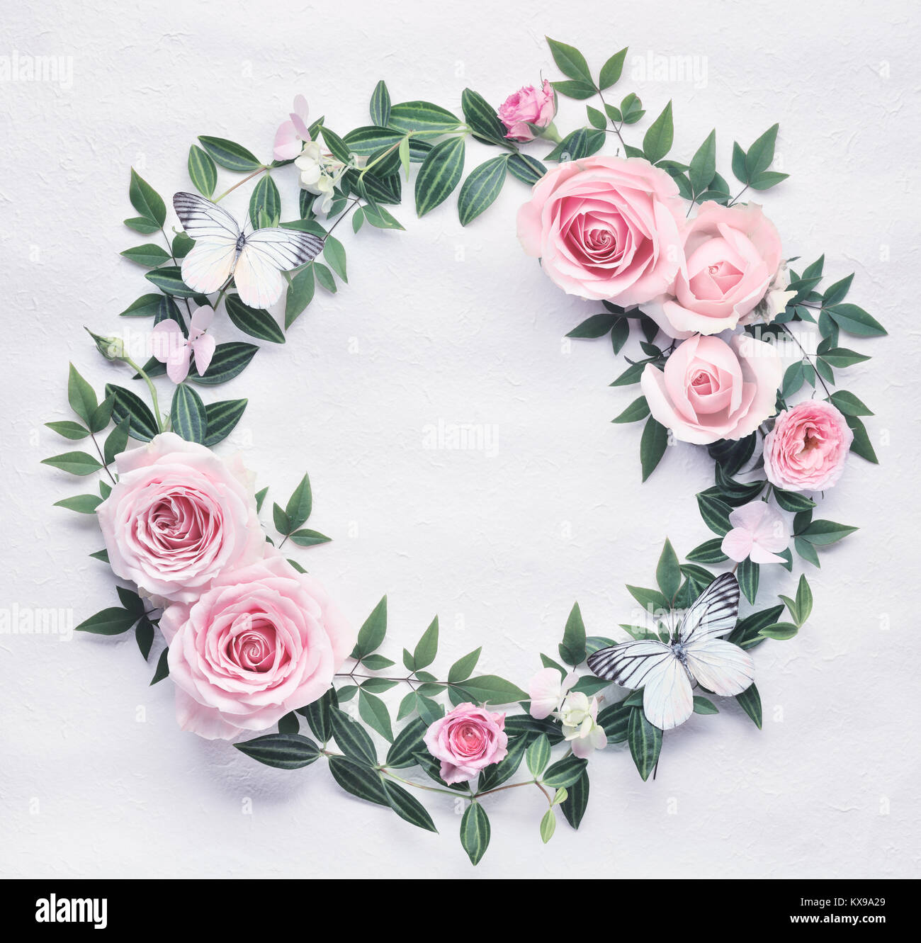 Pink or rose hi-res stock photography and images - Alamy