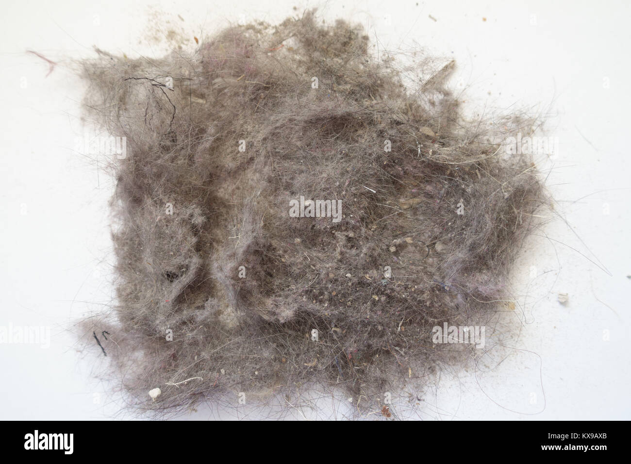 Household Dust Stock Photos & Household Dust Stock Images - Alamy