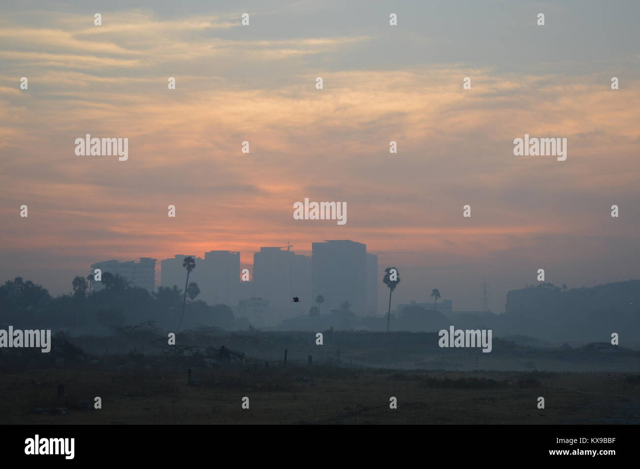 Hyderabad forest hi-res stock photography and images - Alamy