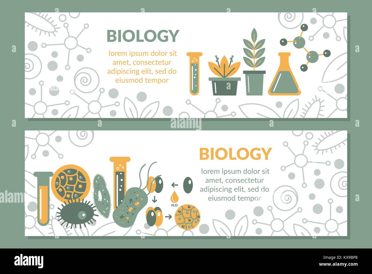 A set of scientific biological banners Stock Vector Image & Art - Alamy