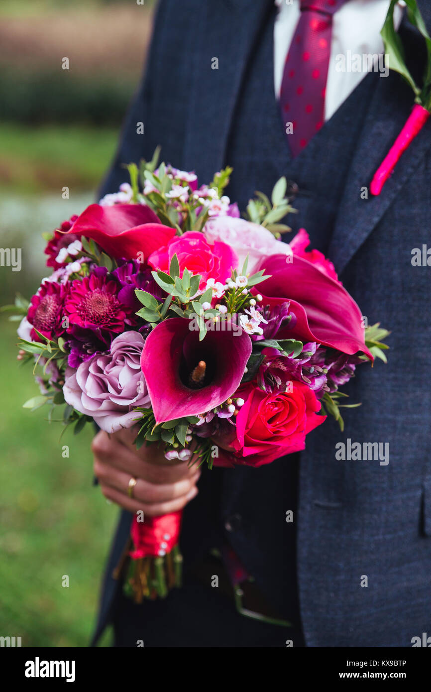 Handsome elegant young man with suit and bow tie hi-res stock ...