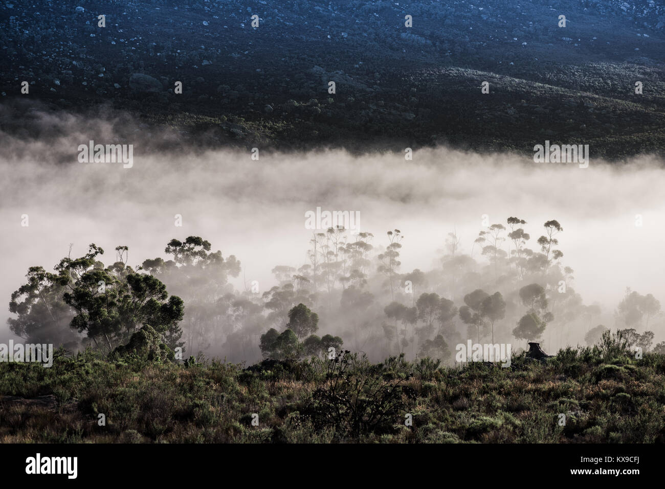 Cape supergroup hi-res stock photography and images - Alamy