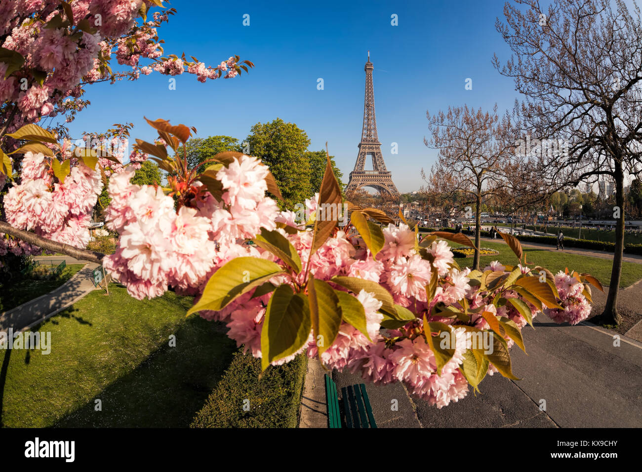 Eiffel Tower with spring trees in Paris, France Stock Photo - Alamy