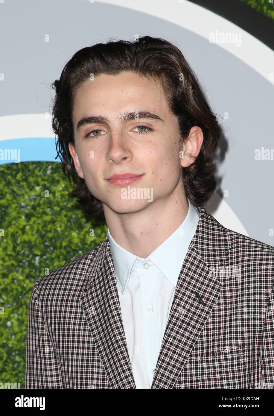2017 GQ Men of the Year Party Featuring: Timothee Chalamet Where: Los ...