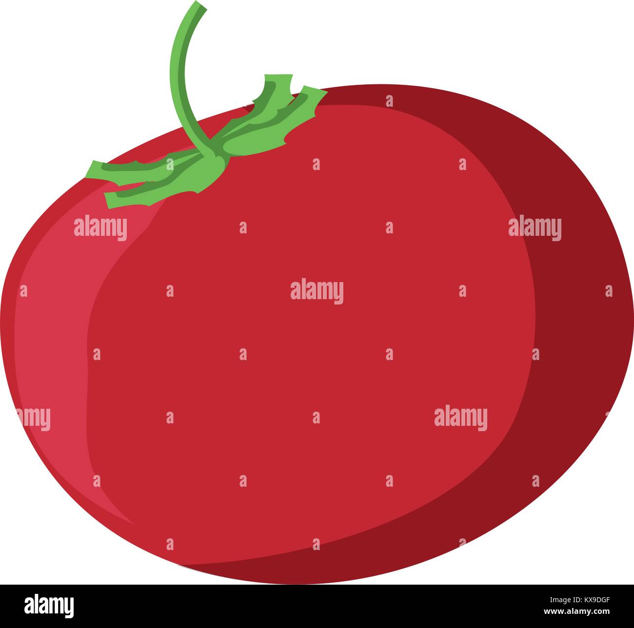 tomato vegetable icon Stock Vector Image & Art - Alamy