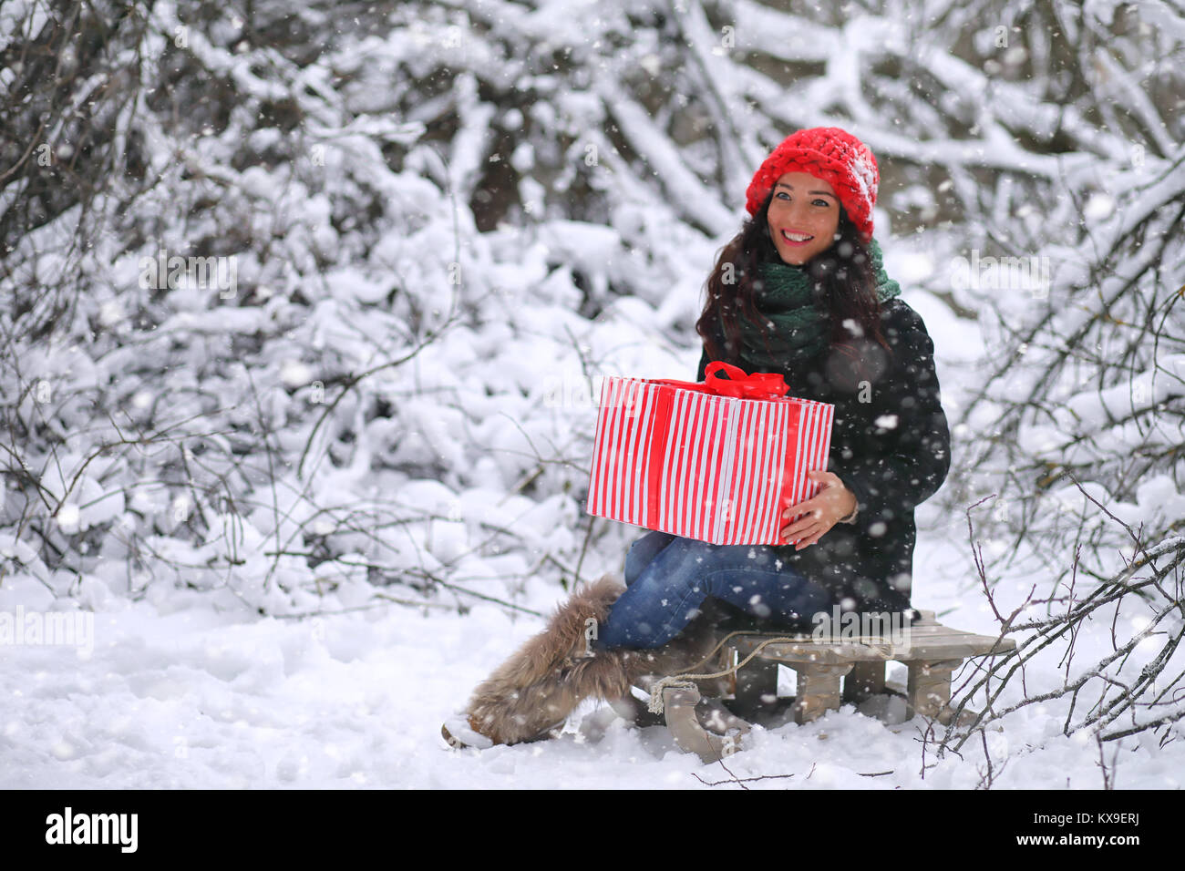 A winter fairy tale, a young mother and her daughter ride a sled Stock ...