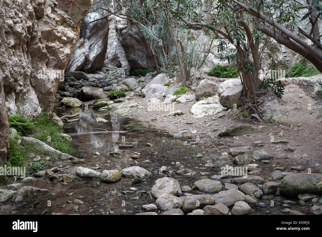 River in the Avakas gorge in Cyprus Stock Photo - Alamy