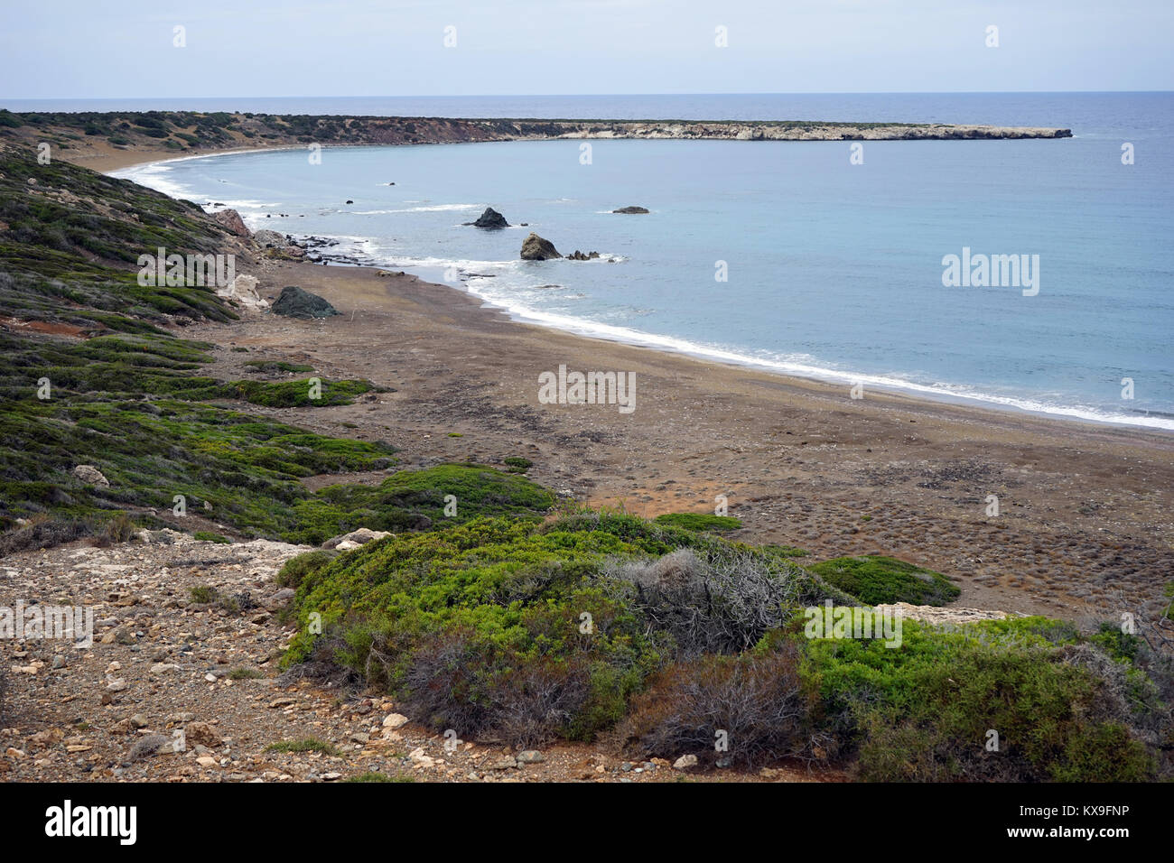 Panorama of Lara Beach in Akamas peninsula, Cyprus Stock Photo - Alamy