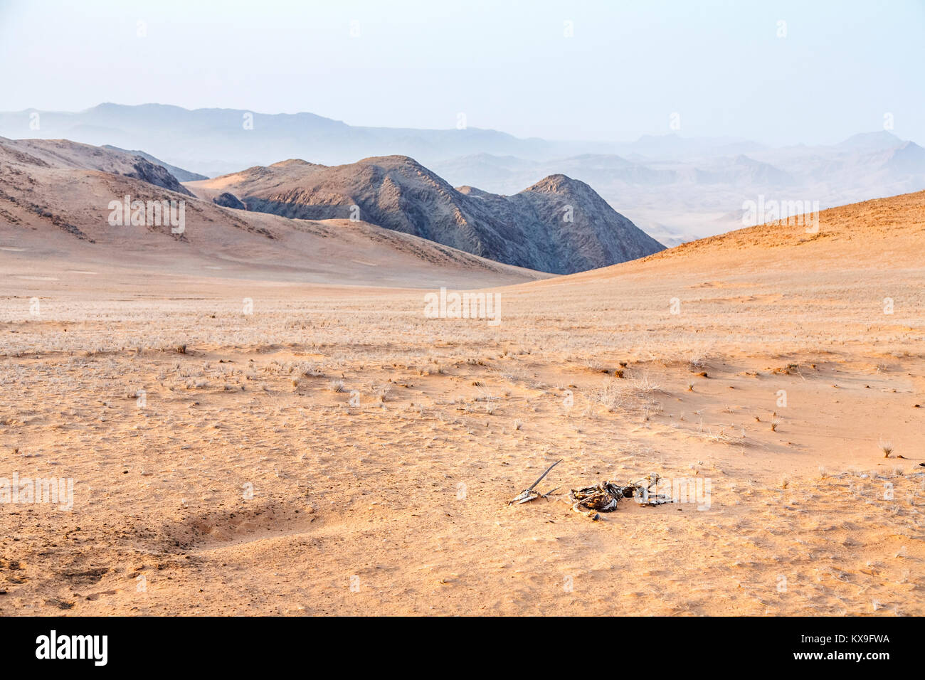Skeleton coast desert bones hi-res stock photography and images - Alamy