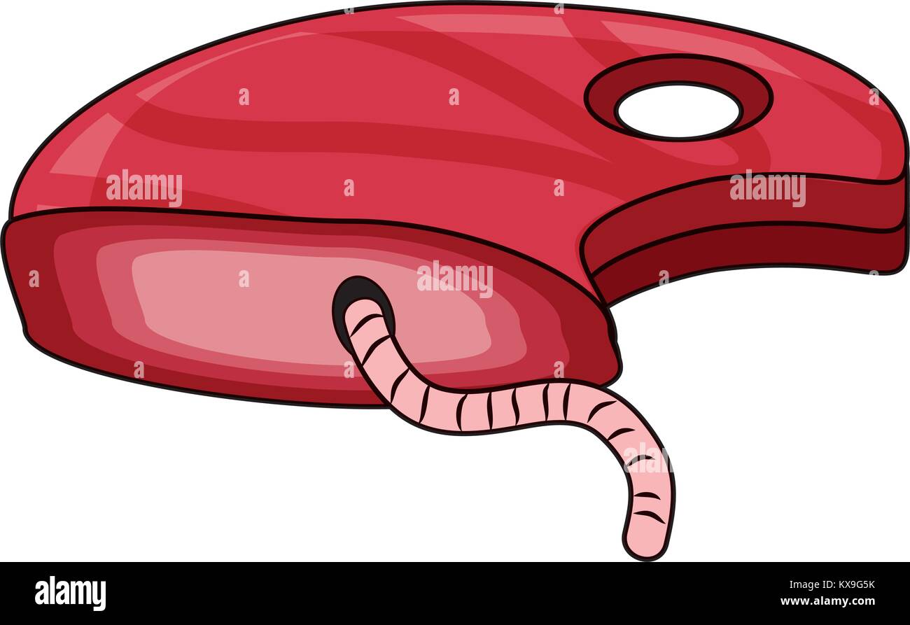 Eating meal worm Stock Vector Images - Alamy