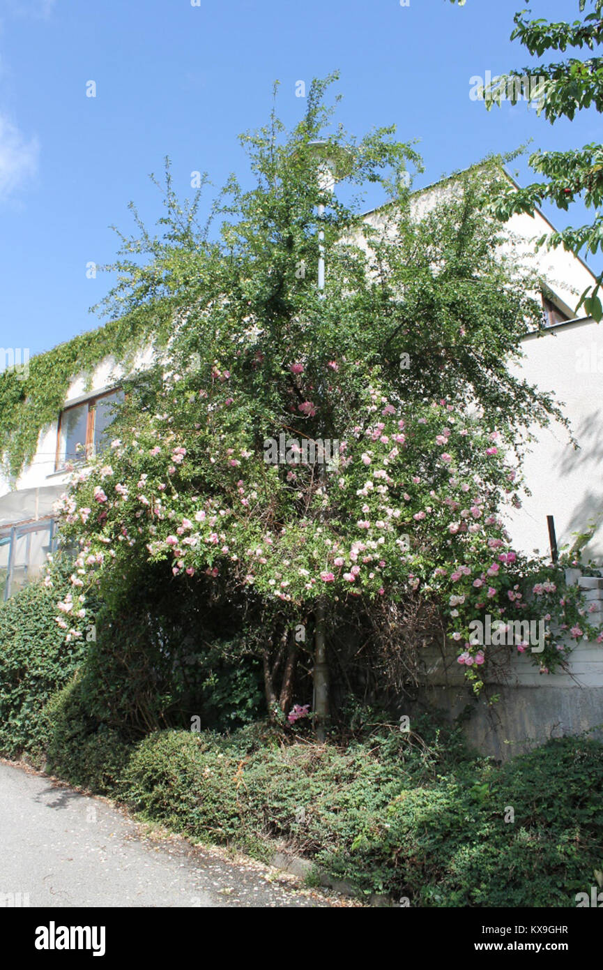 This refers to a specific HTML document or coding reference, possibly ...