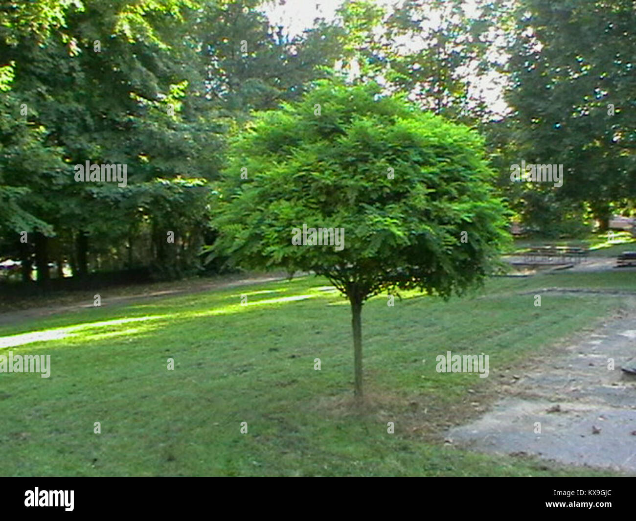 This title appears to refer to a webpage or code reference related to HTML structure or web ...