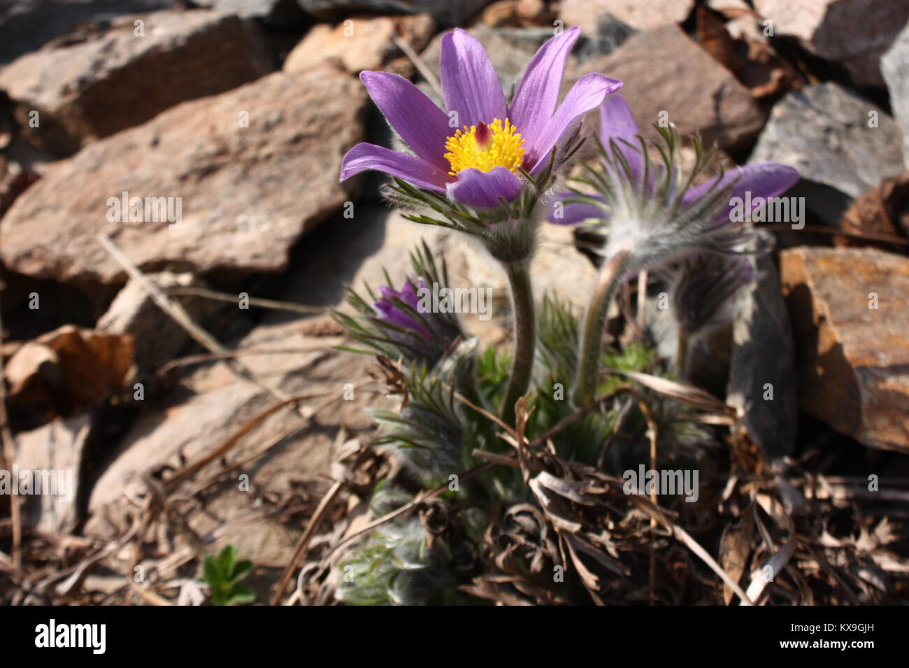 Digital Archive Project Hi Res Stock Photography And Images Alamy