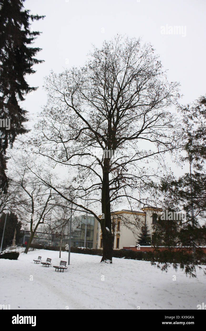 Name errors hi-res stock photography and images - Alamy