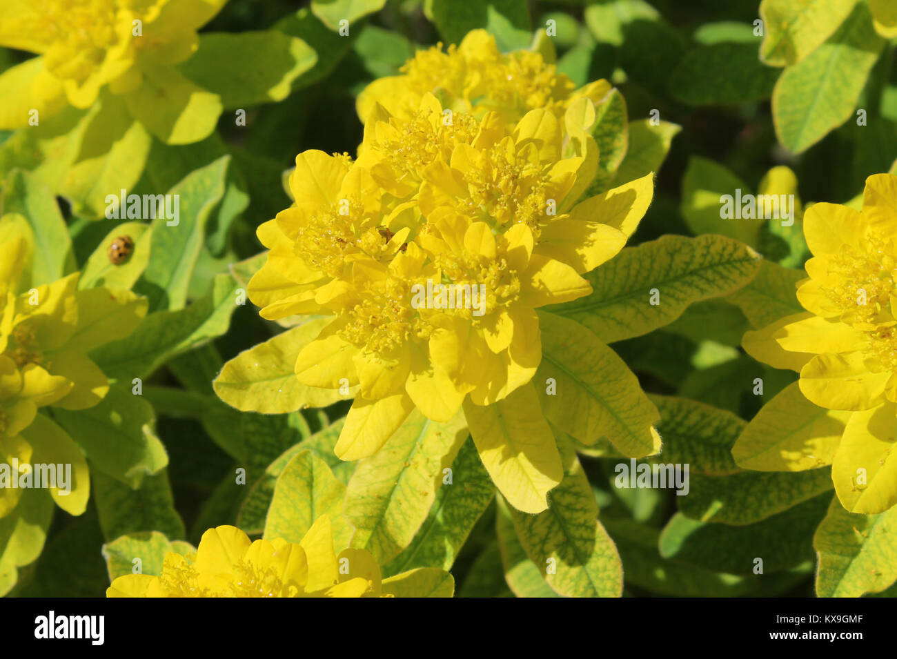 The title appears to be an incomplete or corrupted file name, lacking sufficient context for a ...