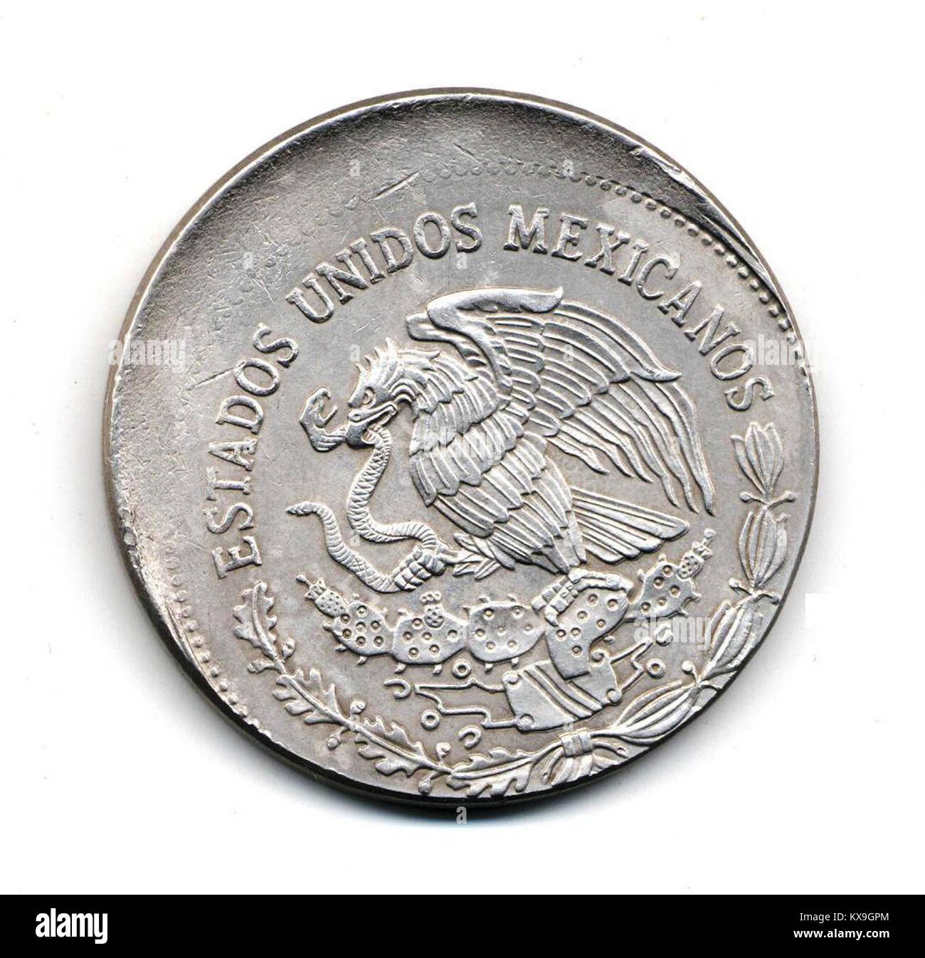 This image shows the reverse side of a 1984 Mexican 50 pesos coin. The ...