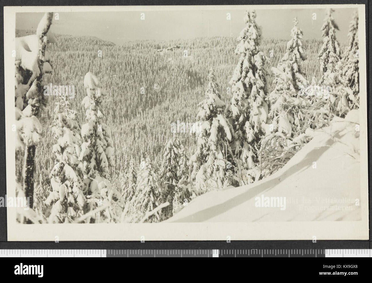 This photograph from Vettakollen, near Frognersæteren, captures a ...