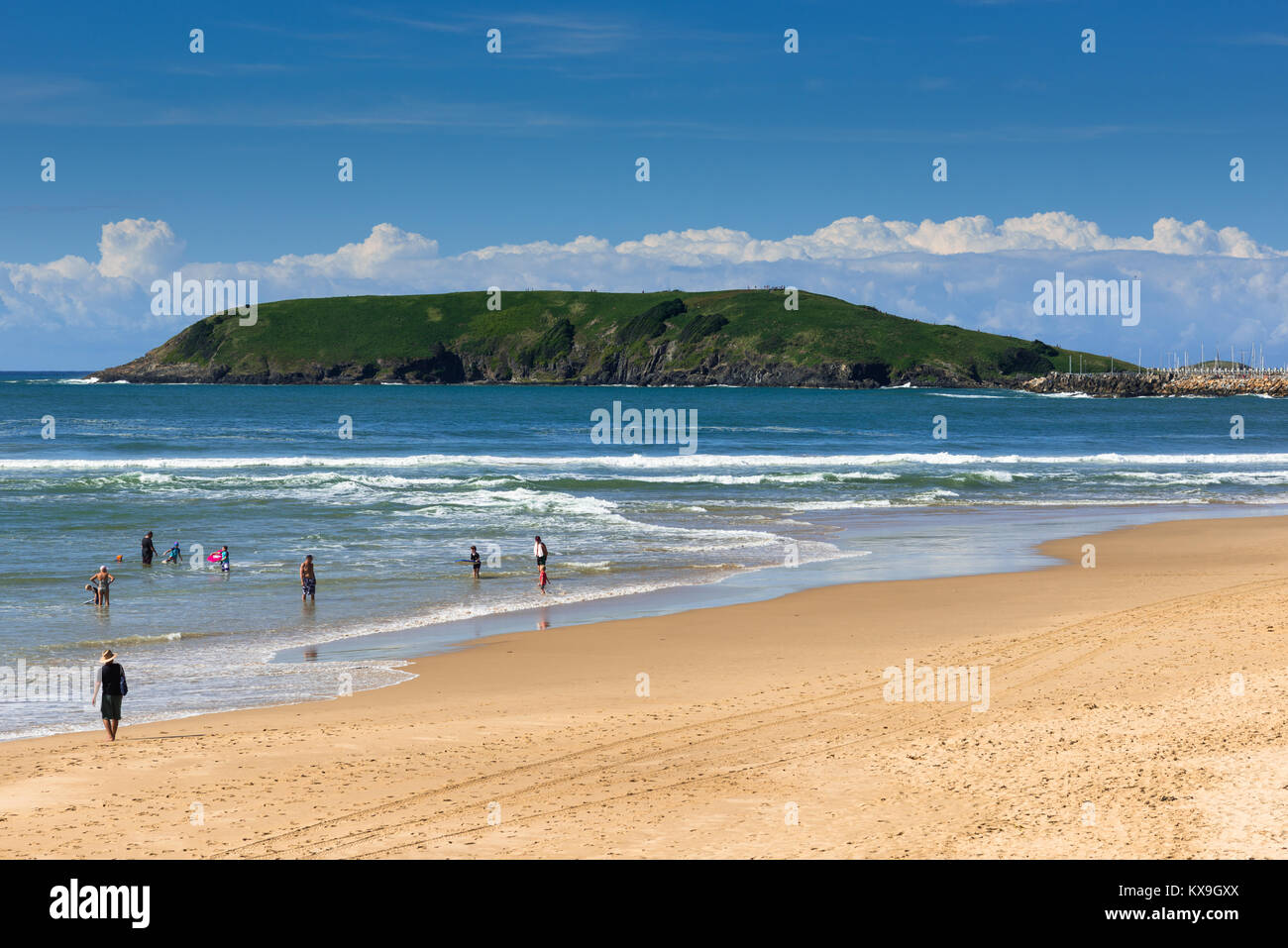 Mutton bird islands hi-res stock photography and images - Alamy