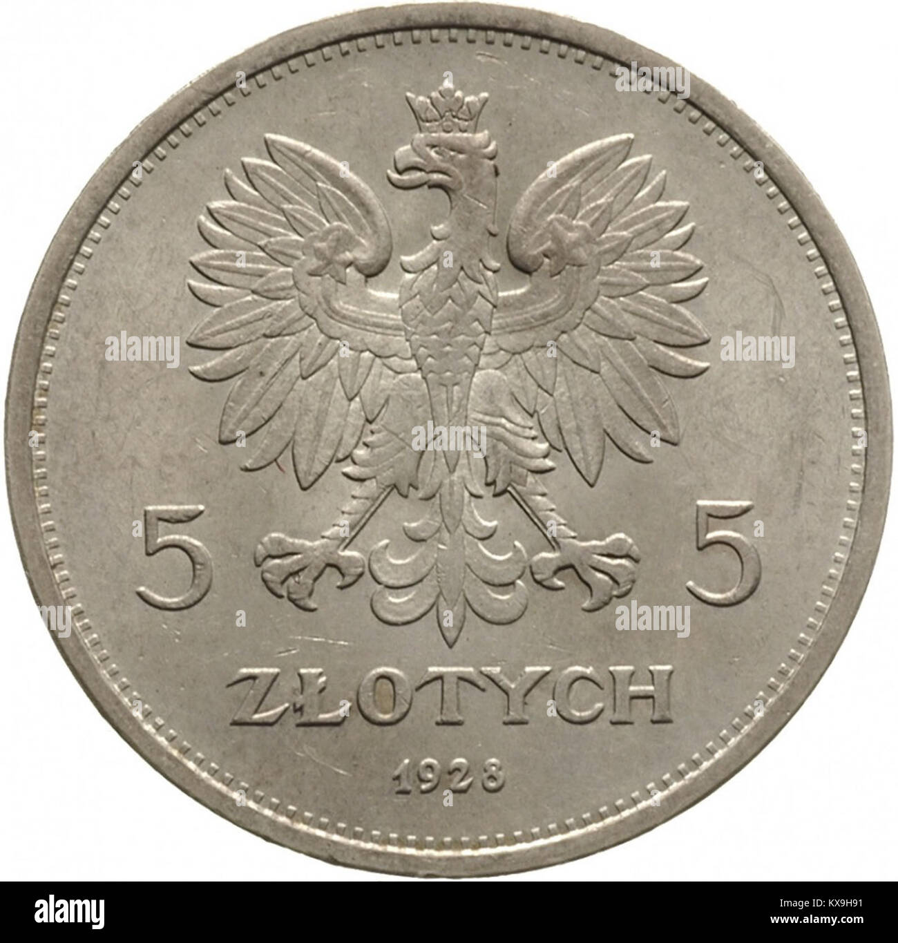 This title appears to reference a product or design related to Nike, possibly a 5zl (five zloty ...